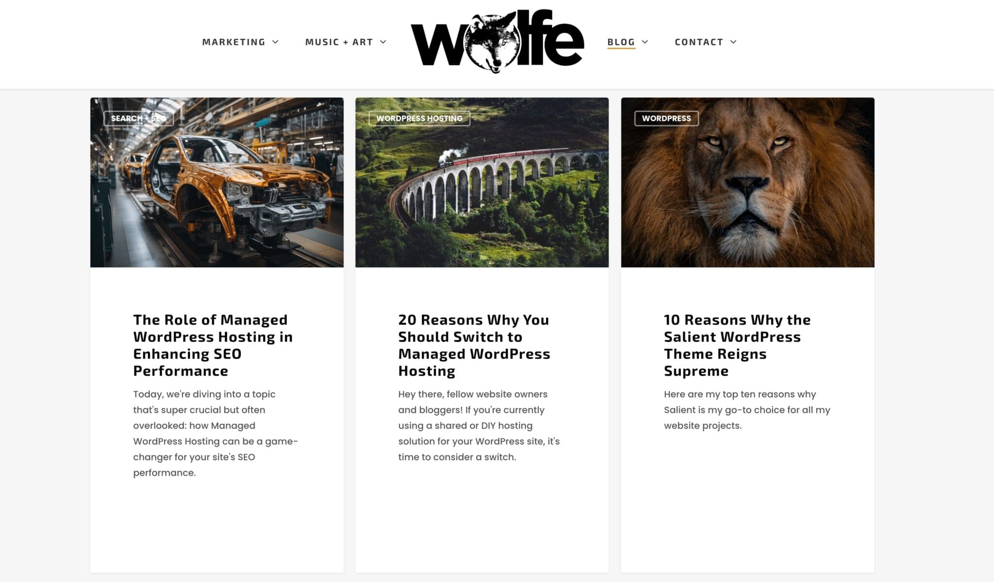 The Ultimate Salient Theme Guide: 20 Tips and Tricks for a Stunning WordPress Site | John Wolfe ...