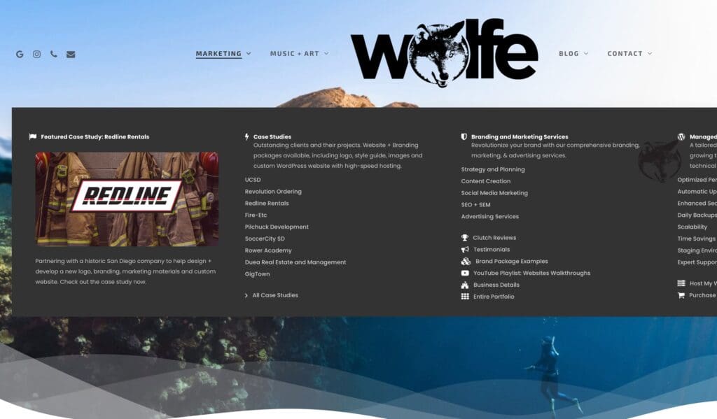 The Ultimate Salient Theme Guide: 20 Tips and Tricks for a Stunning WordPress Site | John Wolfe ...