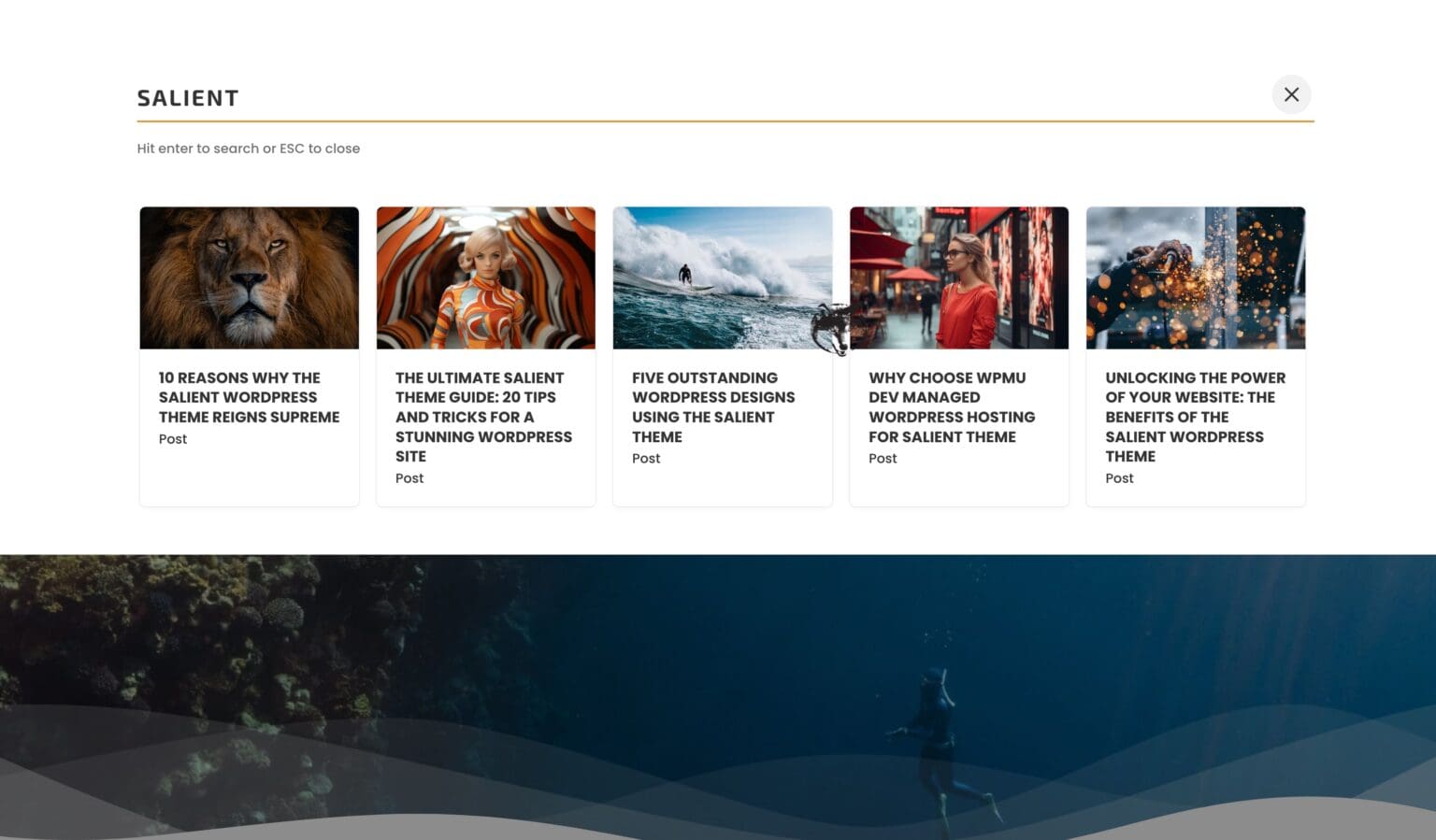 The Ultimate Salient Theme Guide: 20 Tips and Tricks for a Stunning WordPress Site | John Wolfe ...
