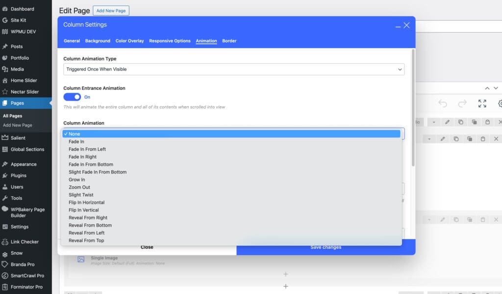 The Ultimate Salient Theme Guide: 20 Tips and Tricks for a Stunning WordPress Site | John Wolfe ...