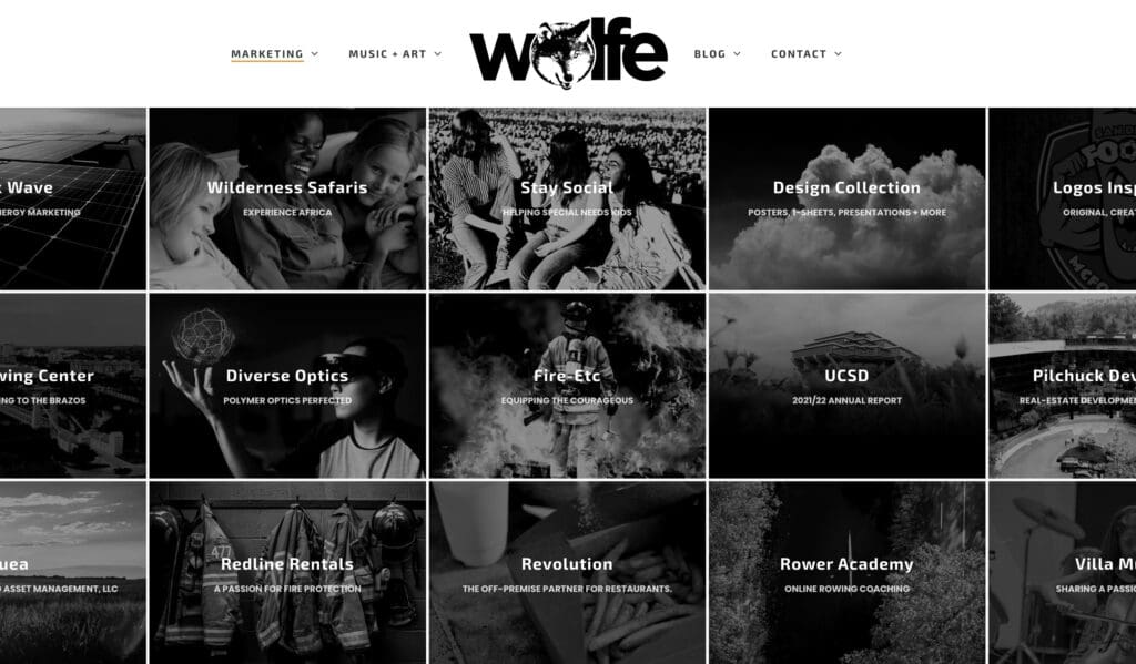 The Ultimate Salient Theme Guide: 20 Tips and Tricks for a Stunning WordPress Site | John Wolfe ...
